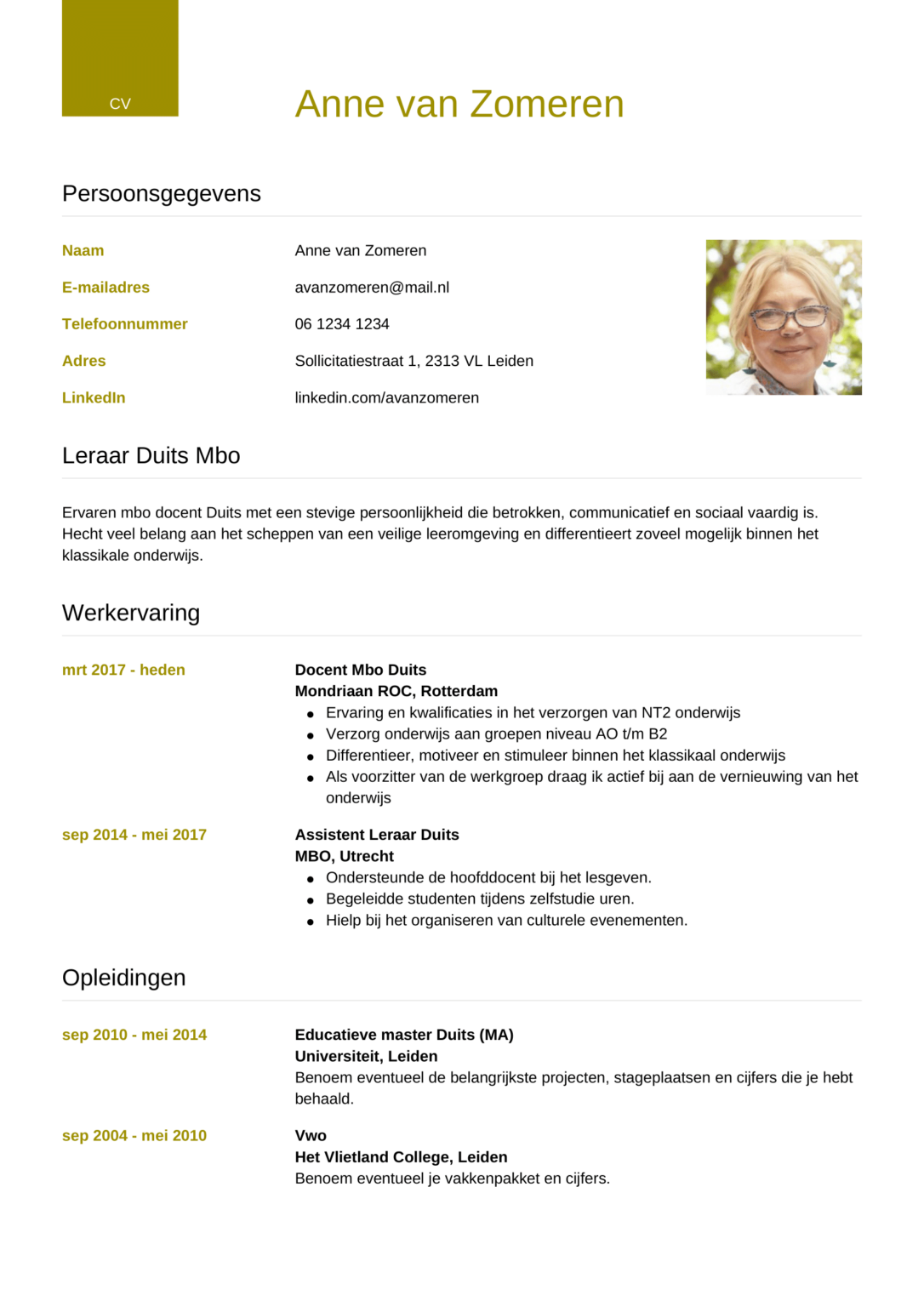 Cv voorbeeld Docent MBO - Beaks.nl
