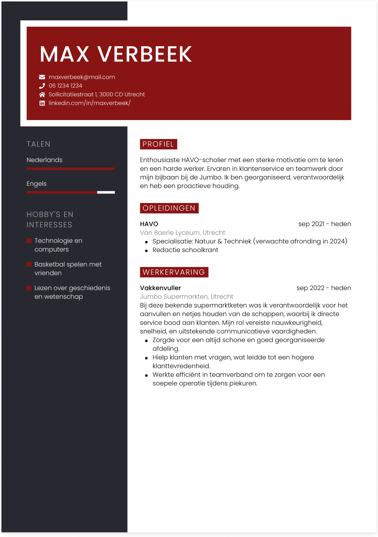 100+ Cv voorbeelden (gratis) - Beaks.nl